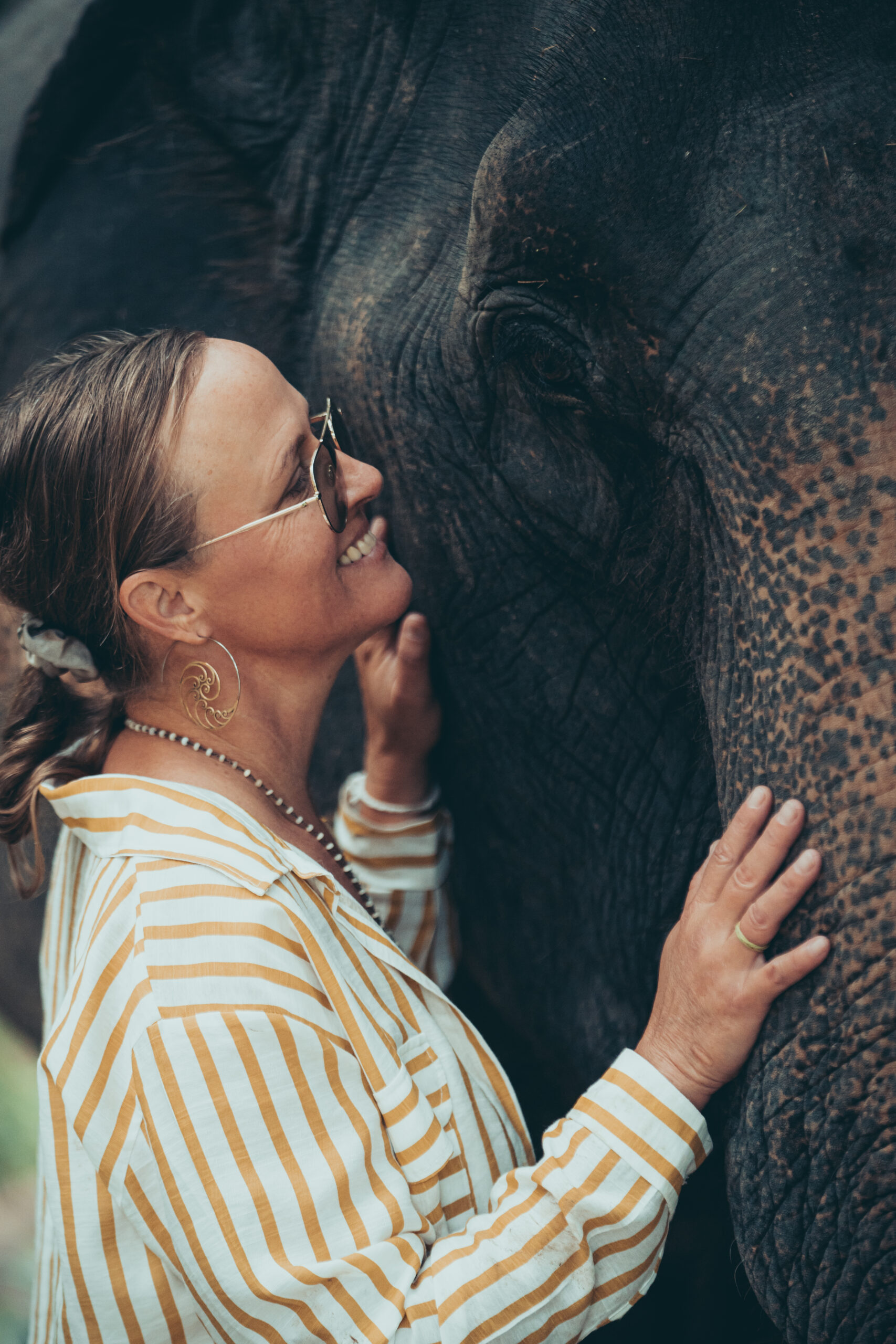 Somatic Experiencing – Sharmyn My Life Coach